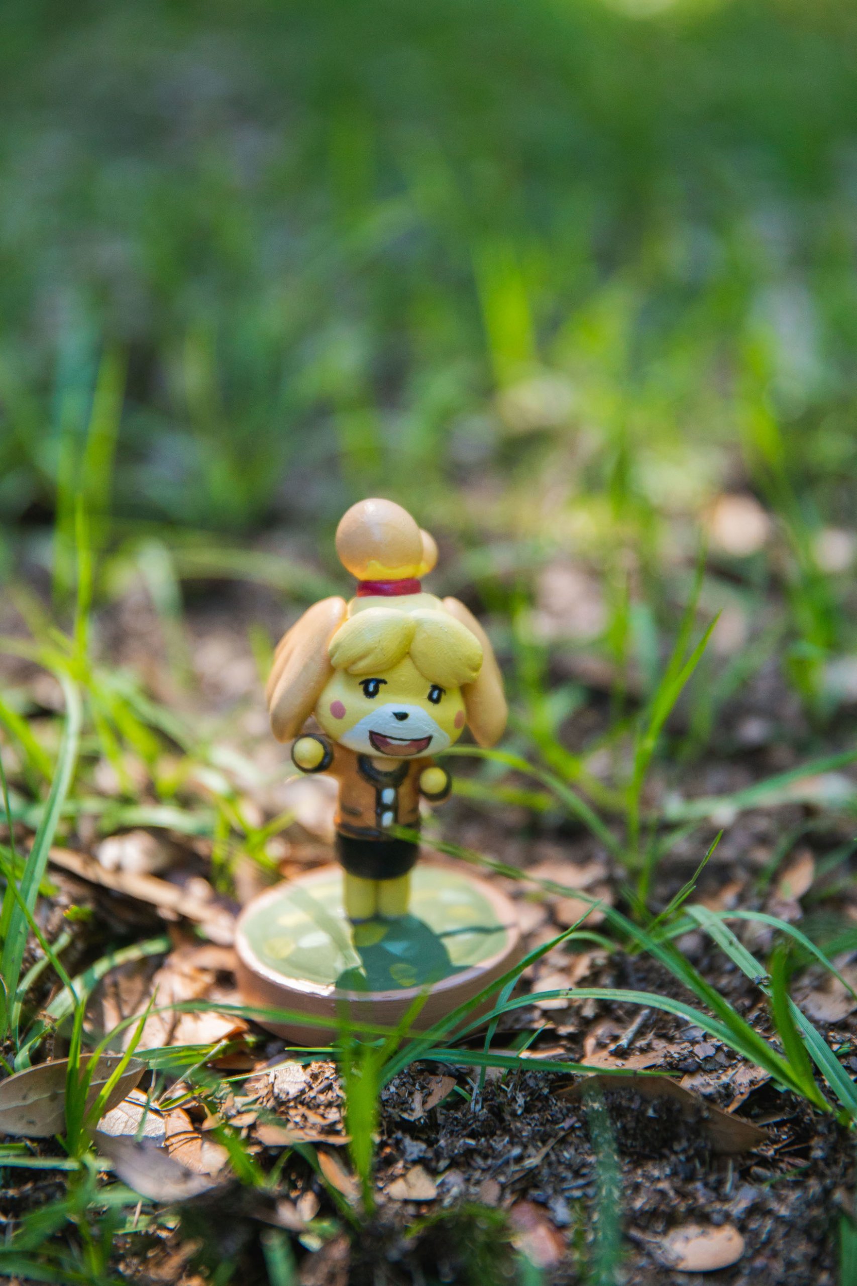 Showing off our 3D Printed Isabelle! - Cooper Dalrymple